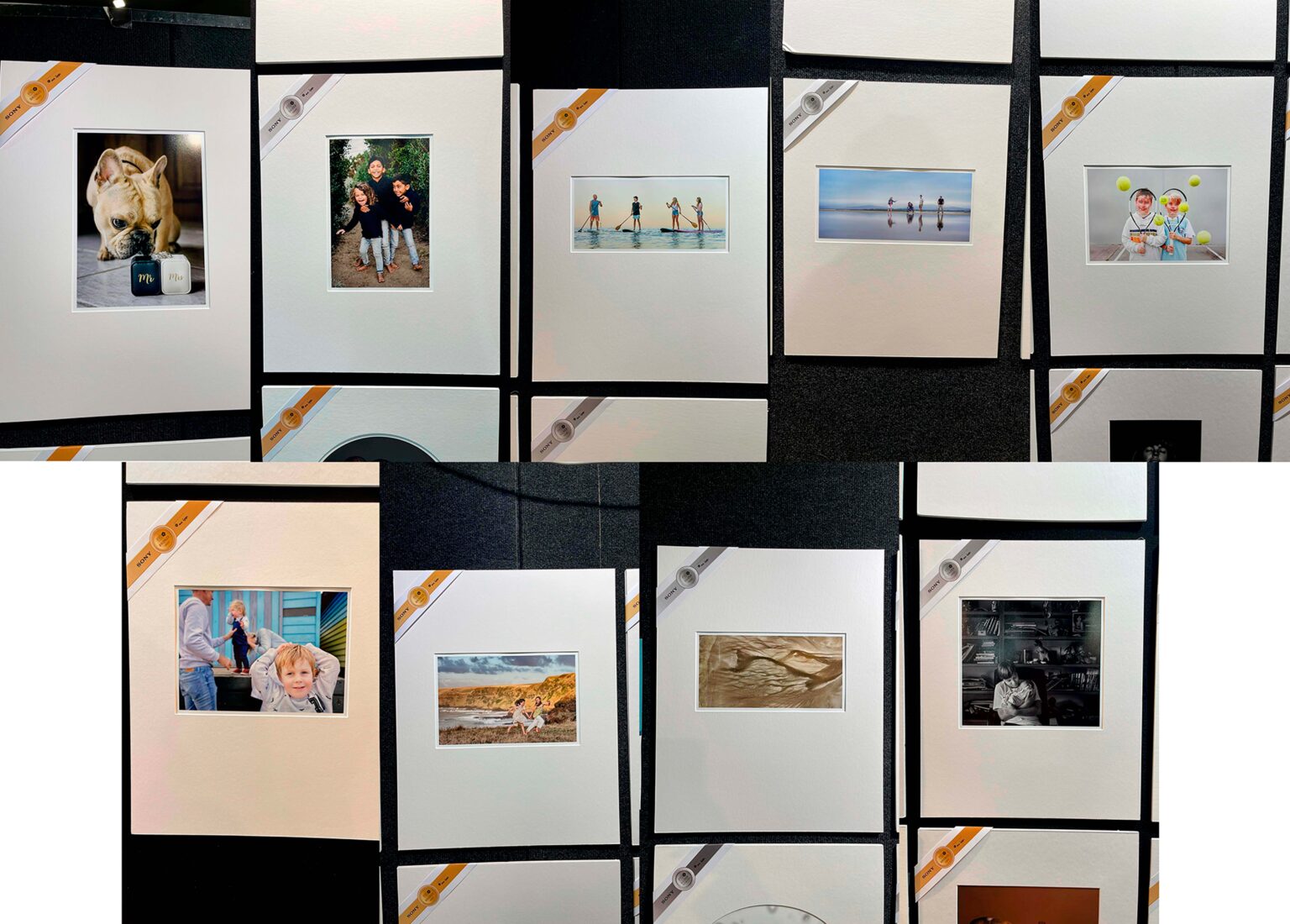 My Wild Week In New Zealand | Awards | Photobat - Alan Moyle, Melbourne ...