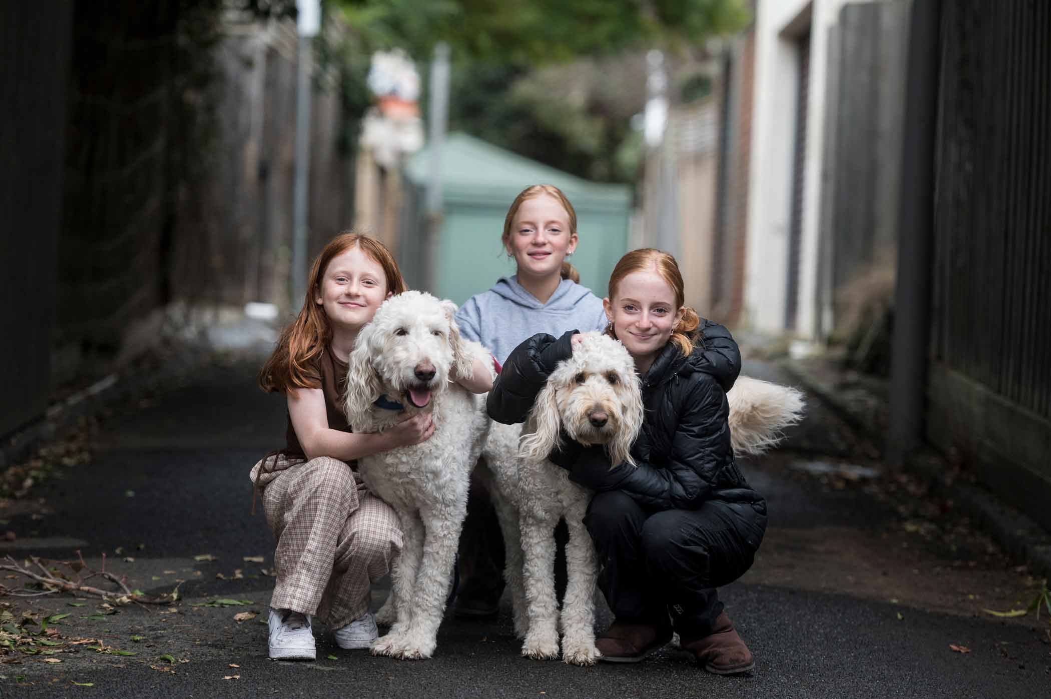 Ruby, Matilda, Audrey, George & Theodore - Barkology | Photobat - Alan ...